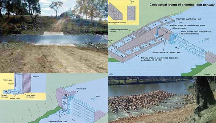 Hydraulics of Fishways – Sydney Water Engineering Panel